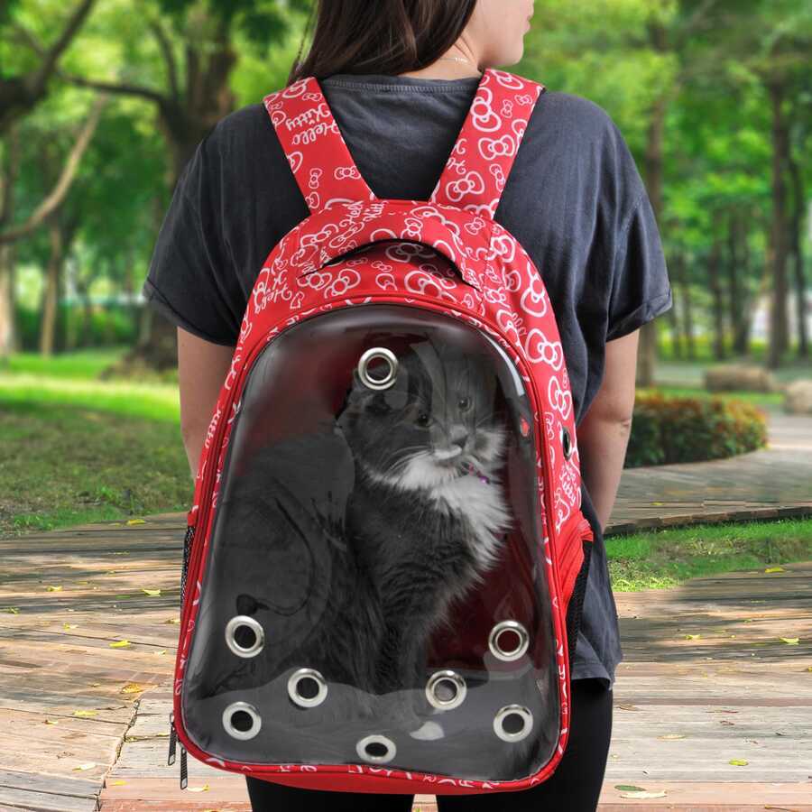 Hello Kitty Şeffaf Kedi Taşıma Çantası Kırmızı