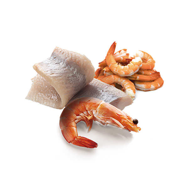 ND Tahılsız Ocean Ringa Balığı Ve Karidesli Köpek Konservesi 140 GR ...