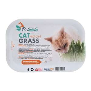 Kedi Vitaminleri ve Takviyeleri